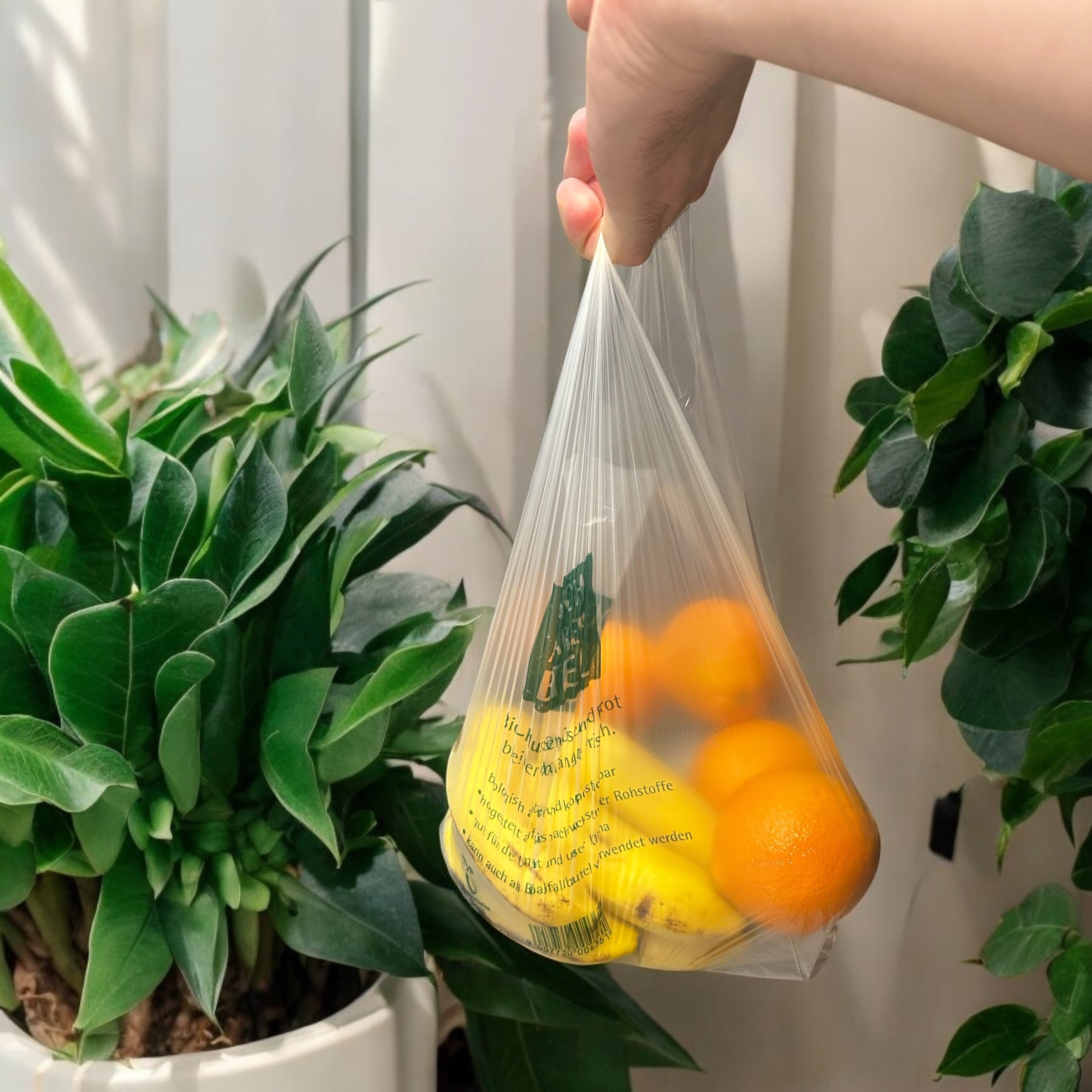 Biorazgradljive vrečke za transport ali pakiranje